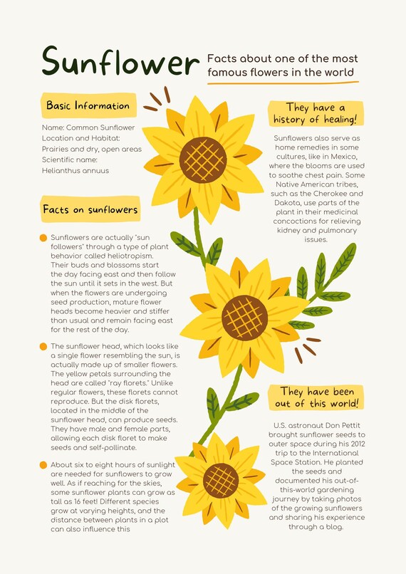 Sunflower Facts Pdf at Isabella Embry blog