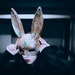 Gold Mask, Horror Easter Mask, Bunny Mask, Rabbit Mask, Halloween Prop ...