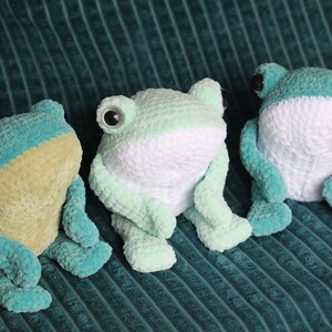 Flappy Froggy Pattern Stitch Inspired - Etsy
