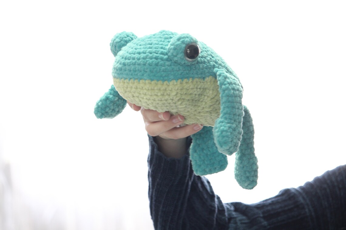 Flappy Froggy Pattern Stitch Inspired - Etsy