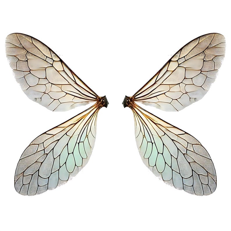 Bee Wings Clipart, Set of 10 Jpeg's 300 DPI, Commercial Use, Digital ...