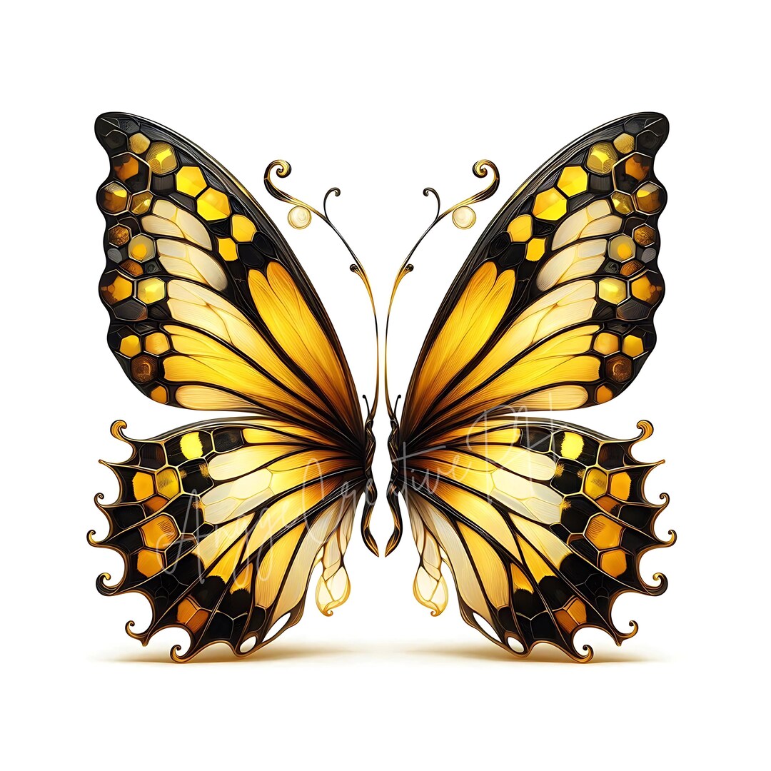 Enchanted Bee Inspired Fairy Wings, Set of 9 Jpeg's, High Reso 300 DPI ...