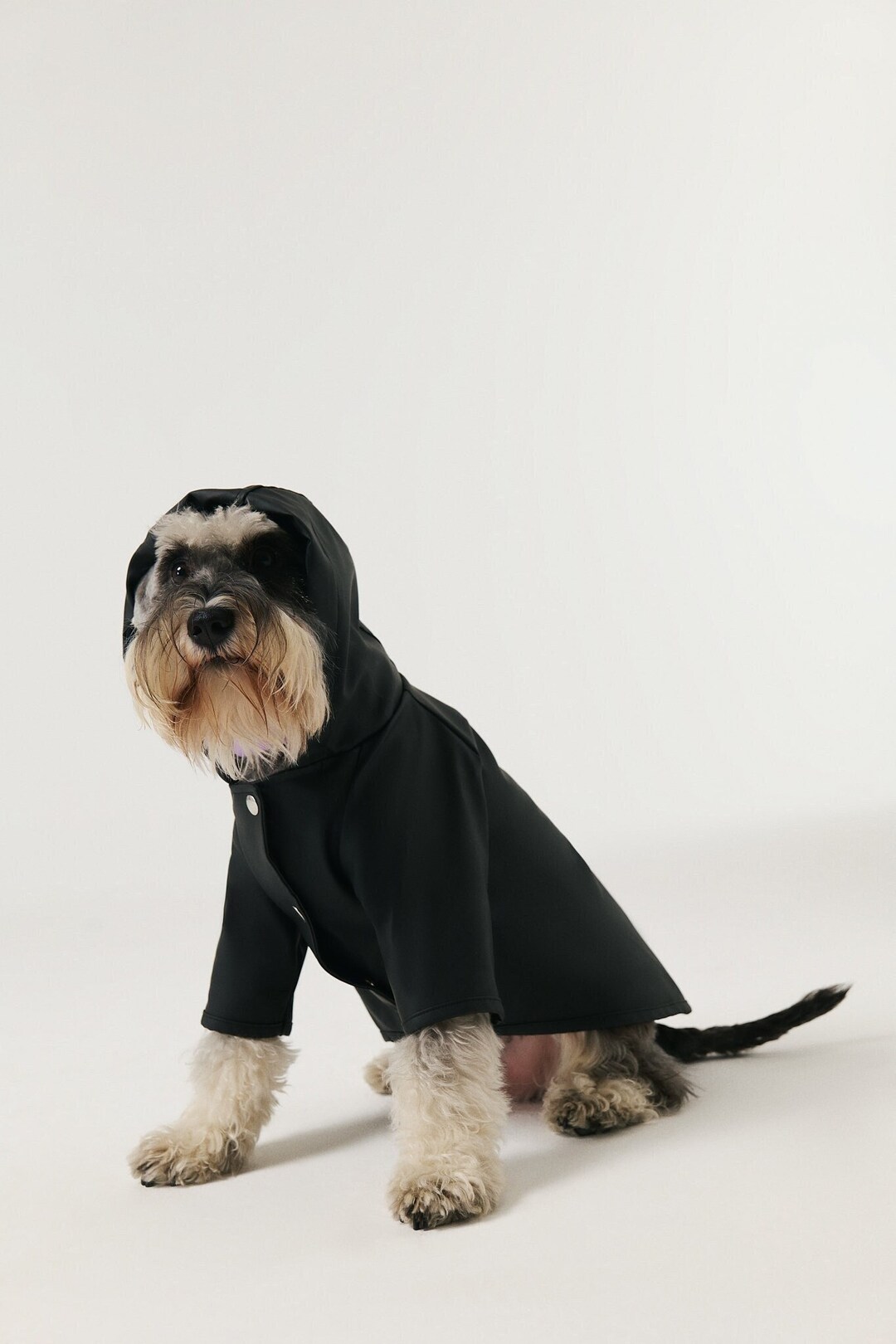 Dog Raincoat With Hood - Water Resistant - Black - Etsy