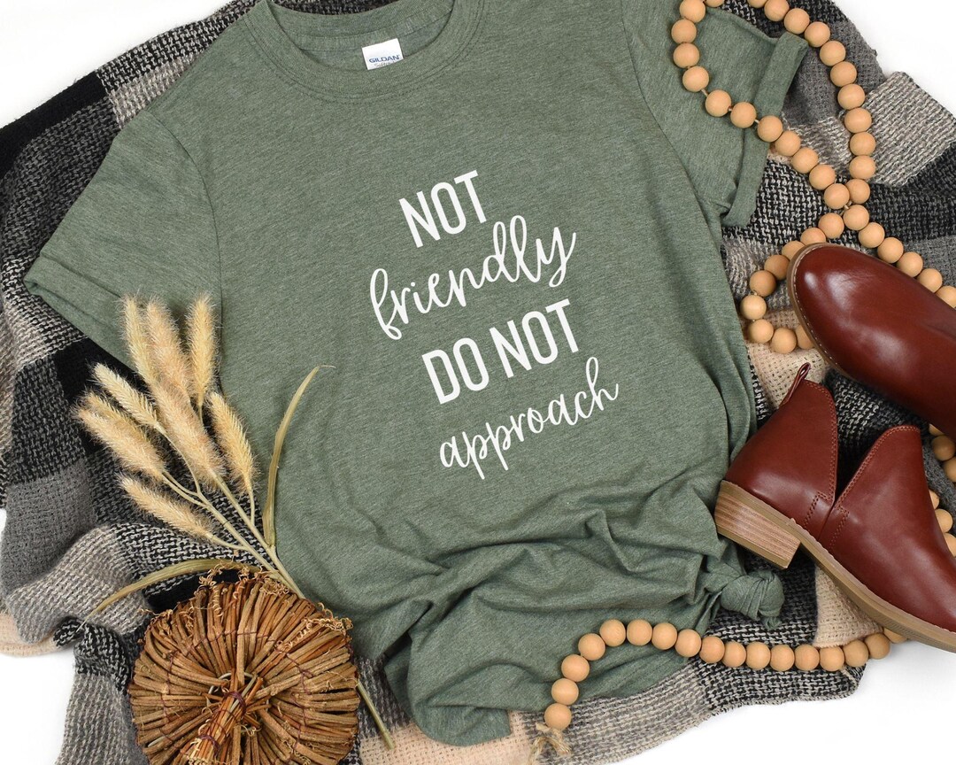 Not Friendly, Do Not Approach Tee, Funny Tee, Funny Shirt, Funny Gift ...