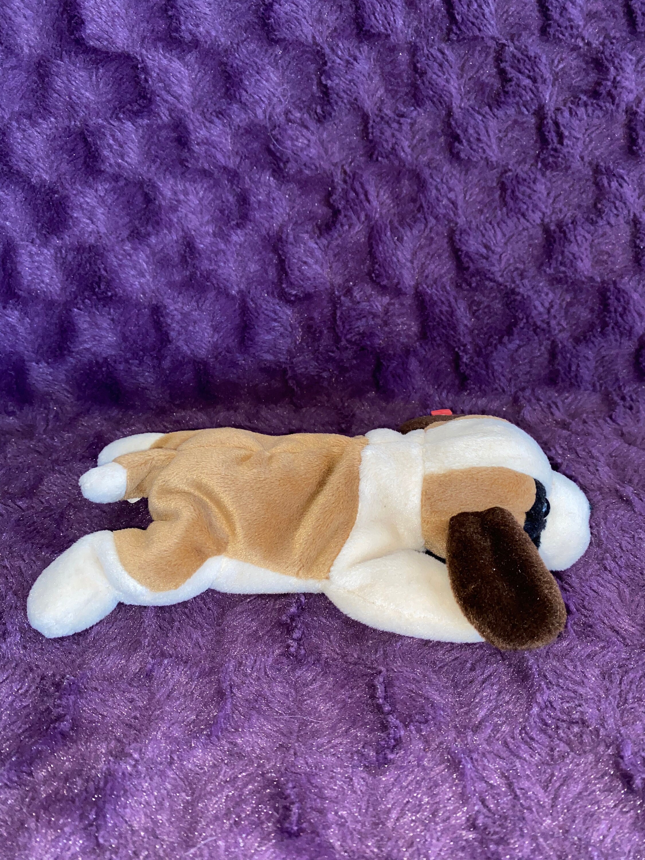 Beanie Baby Bernie the Dog, With Pvc Pellet Tag - Etsy