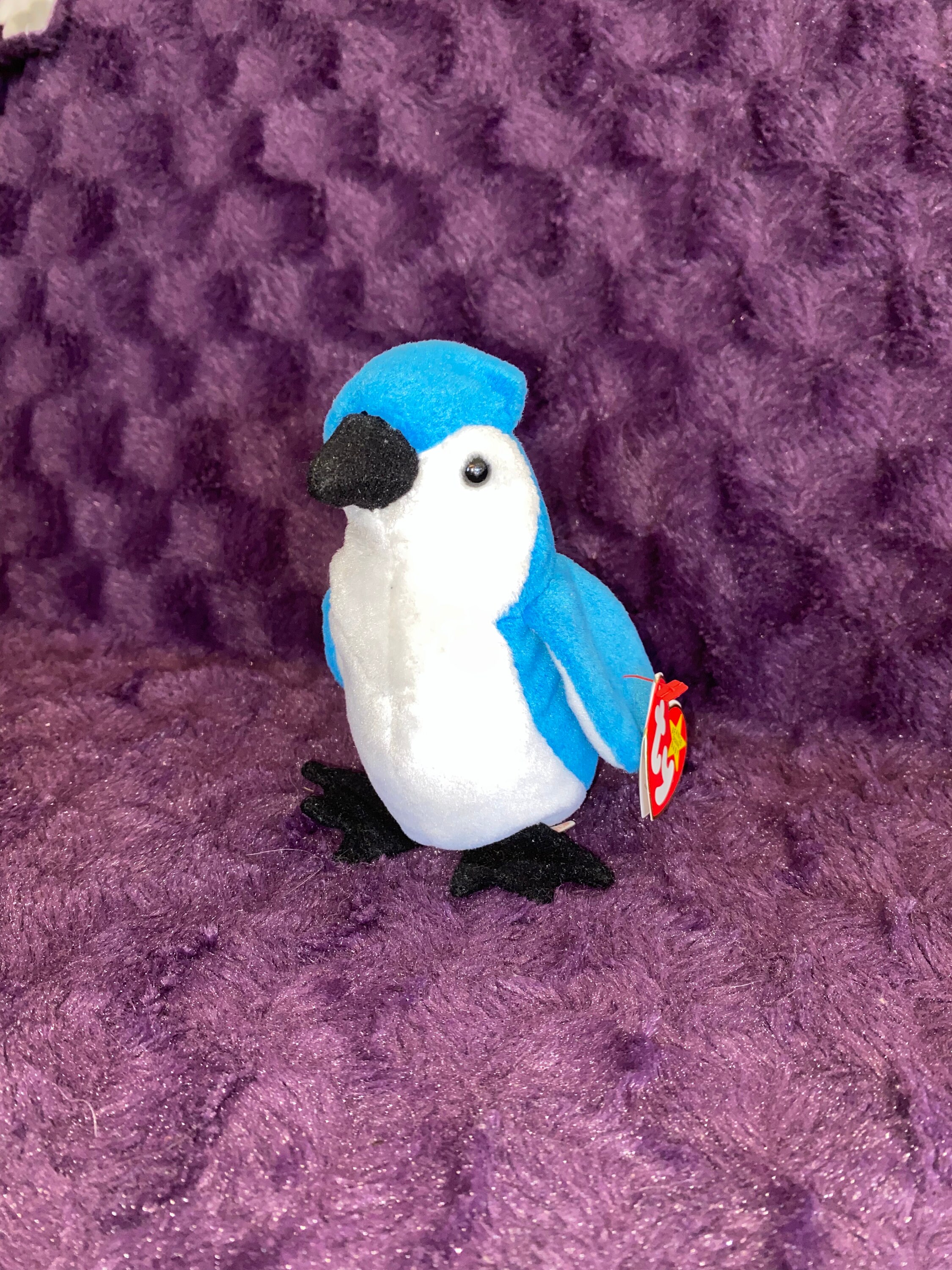 Beanie Baby Rocket the Blue Jay-with Errors - Etsy