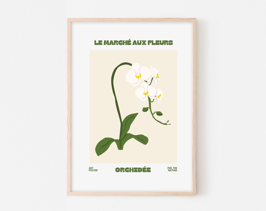 Flower Market Poster White Orchid Flower Market - Etsy