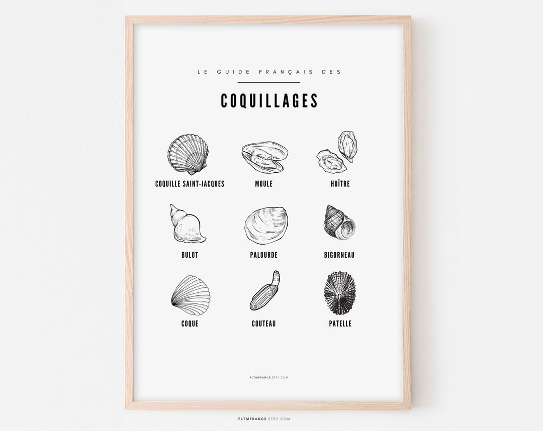 Seashell Poster Guide to the Different Shellfish Printable Poster Wall ...