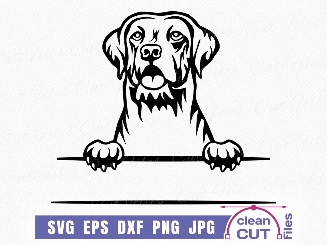 Peeking Labrador Head SVG Cute Paws Dog Breed Animal Pet Puppy Monogram ...