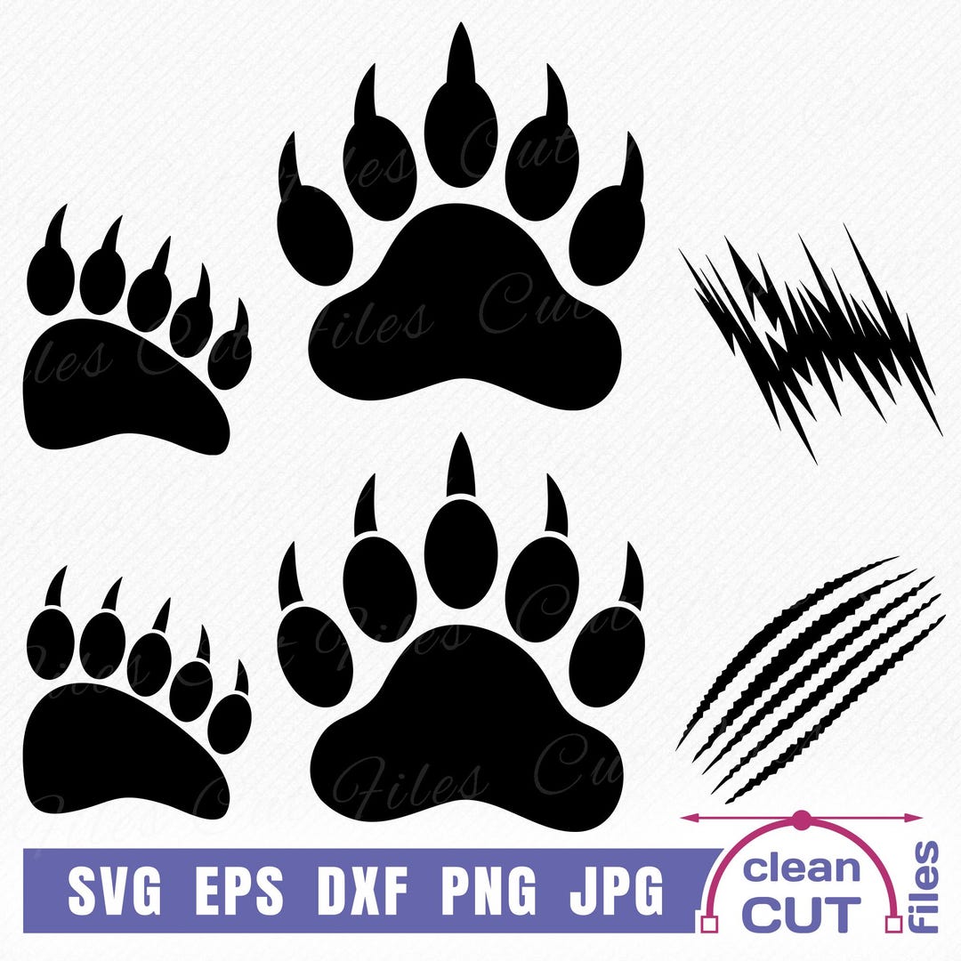 Bear Paw Print SVG, Bear Paw Foot Print SVG, Digital Download | Cricut ...
