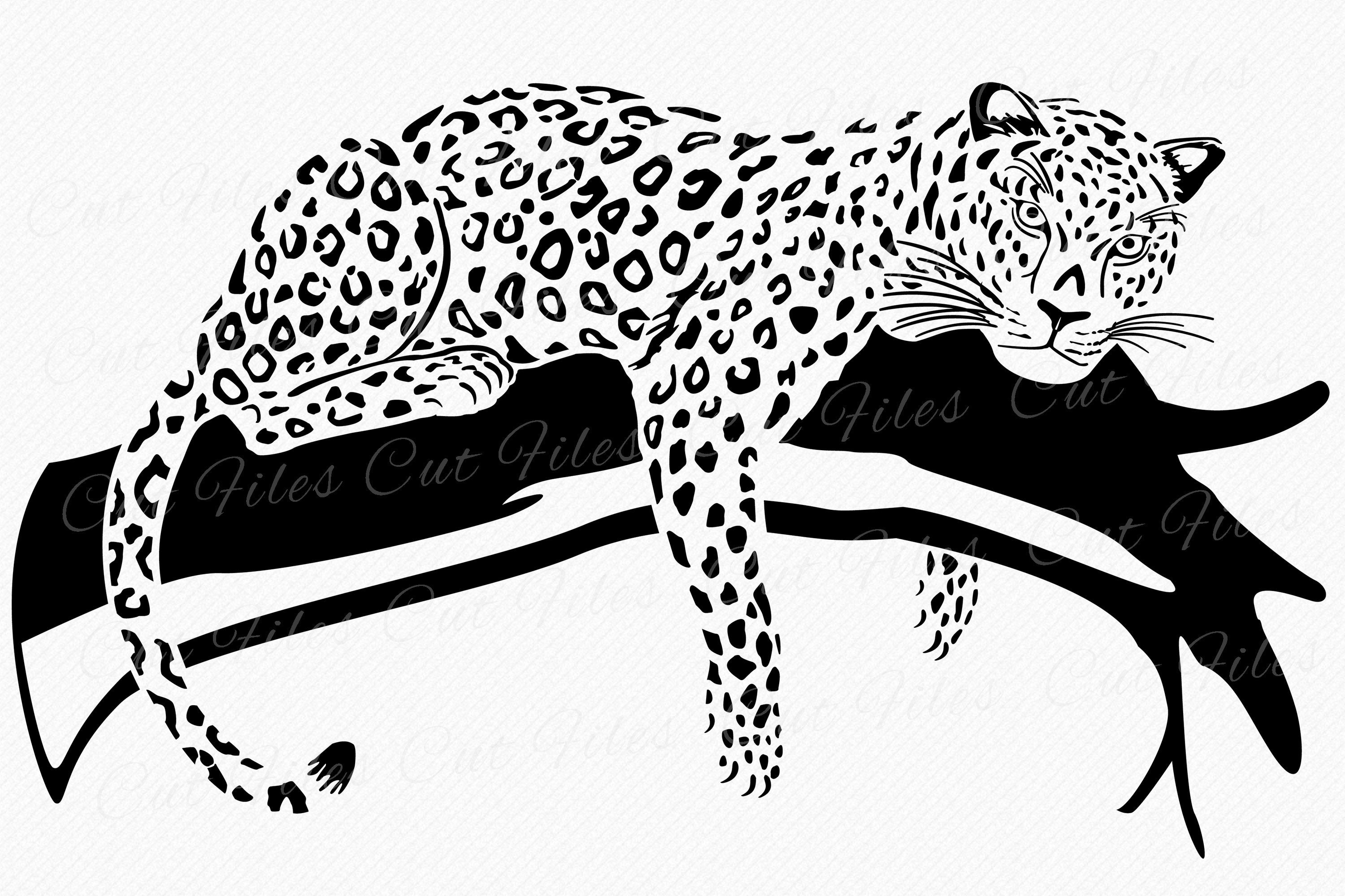 Leopard SVG, Animal SVG, Wild Cat SVG, Leopard Clipart - Vector Cutting ...