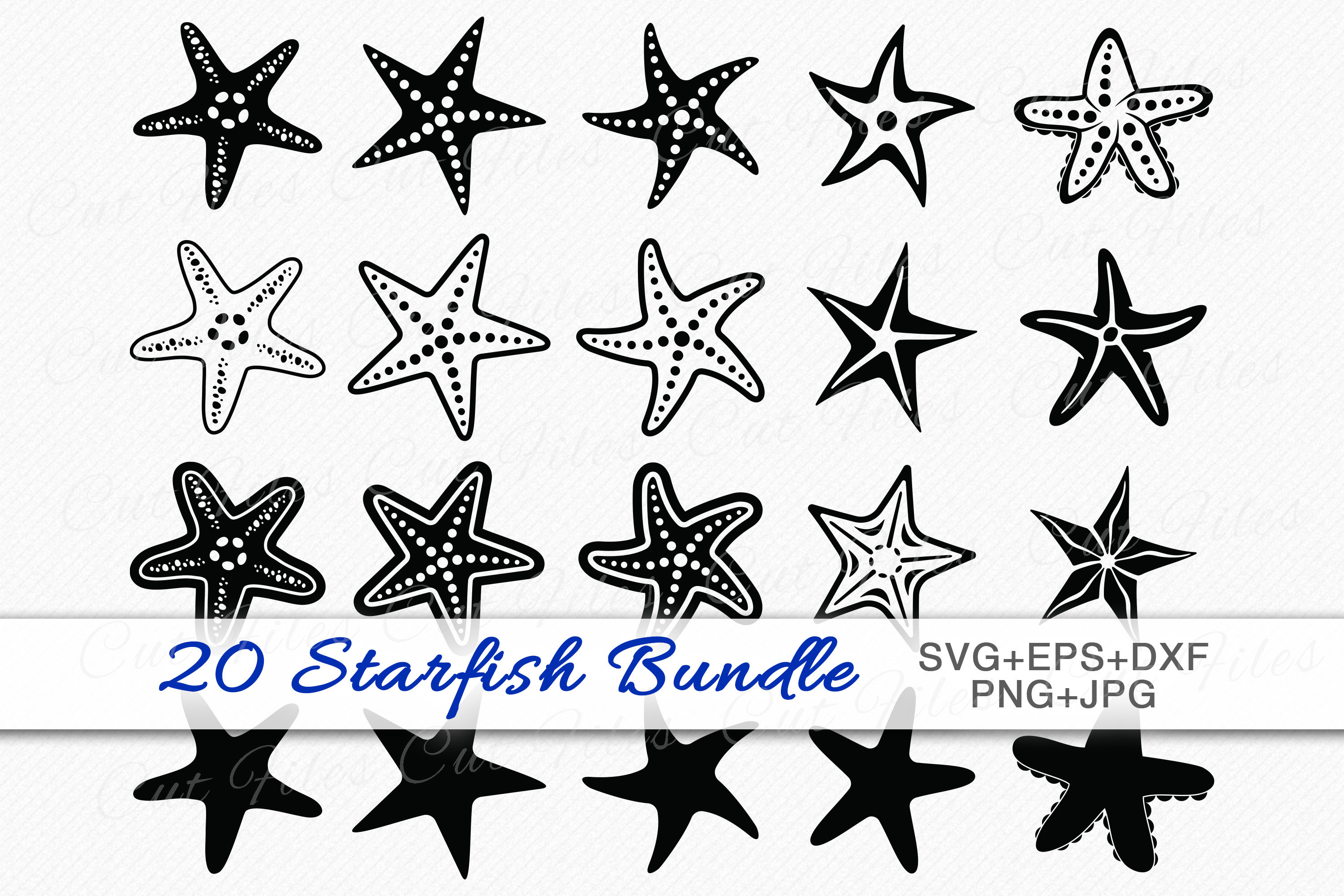Starfish SVG Bundle 20 Vector Star Fish Ocean Animal Clipart - Etsy