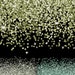 Earth Tone Glitter Confetti Borders 30 Earth Tone Glitter - Etsy
