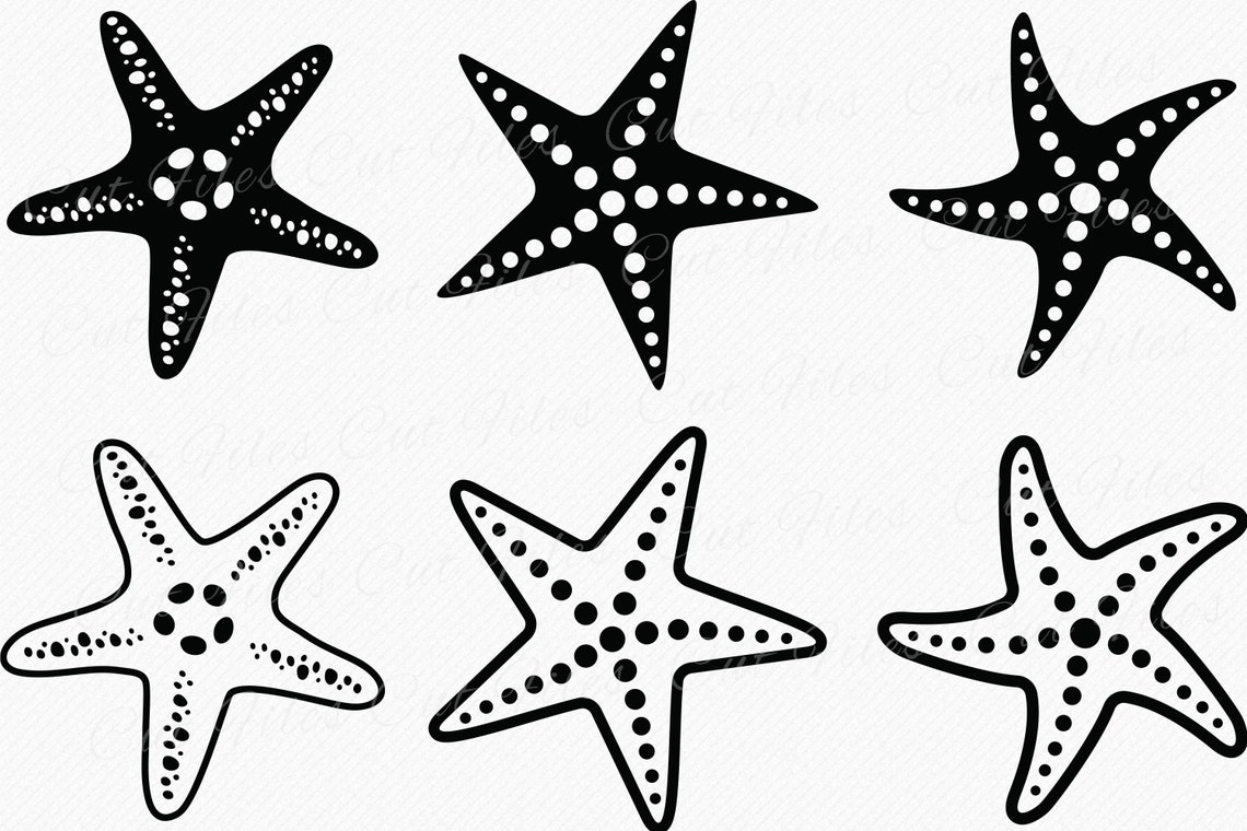 Starfish SVG Bundle 20 Vector Star Fish Ocean Animal Clipart - Etsy
