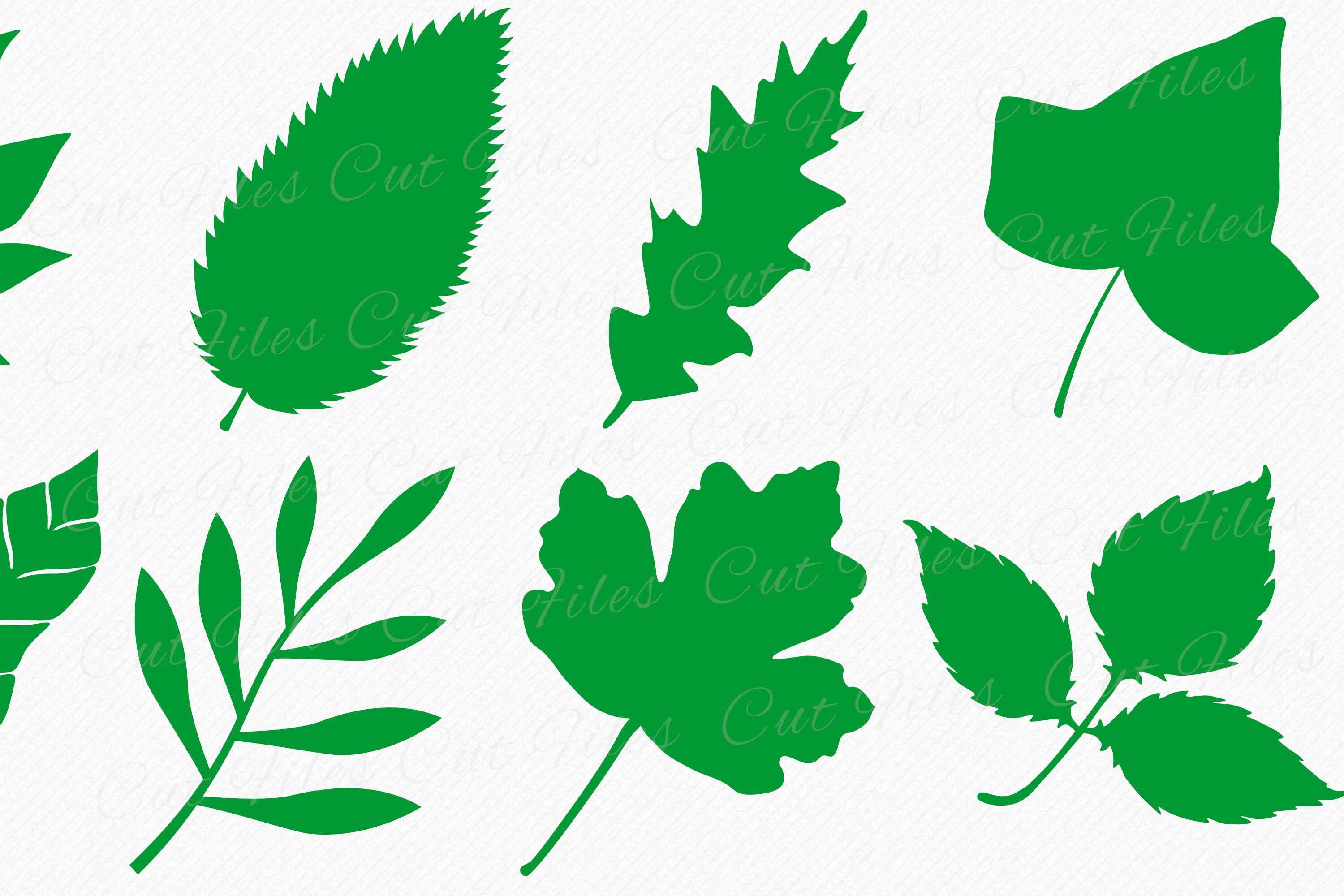 Forest Leaf SVG Bundle, Silhouette Leaf Vector and Clipart Files, 28 ...
