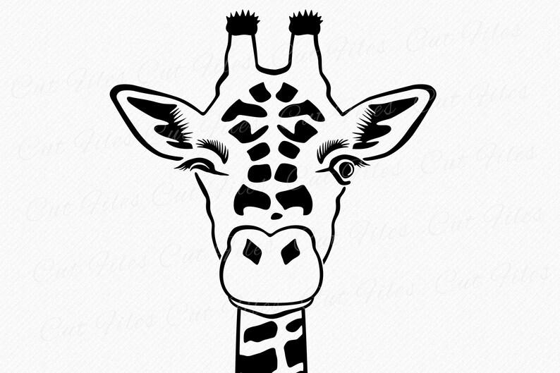 Giraffe Face SVG, Animal SVG, Giraffe Fun Cutting File, Wild Animal SVG ...