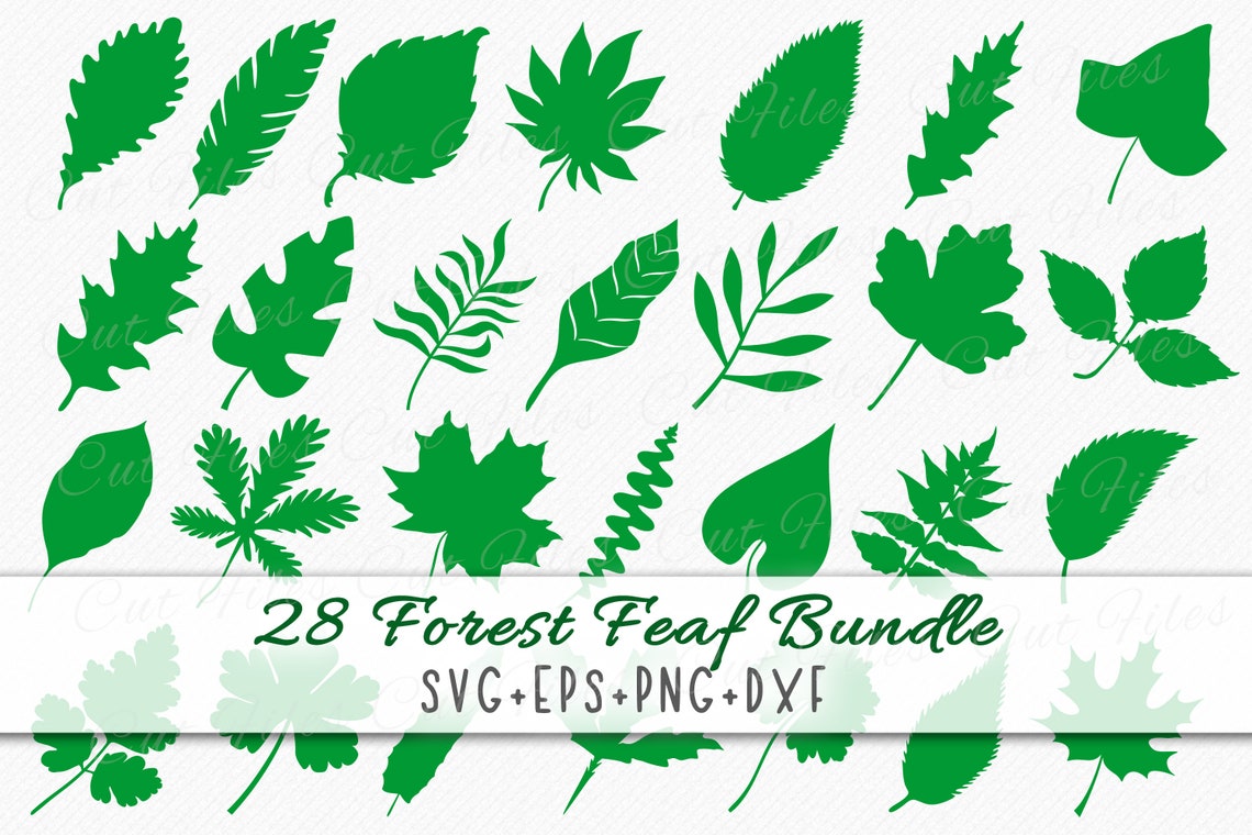 Forest Leaf SVG Bundle, Silhouette Leaf Vector and Clipart Files, 28 ...
