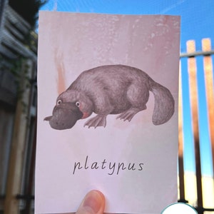 Australian Animals Flashcards, Montessori Cards, Australian Wildlife ...