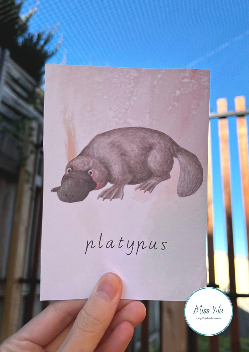 Australian Animals Flashcards, Montessori Cards, Australian Wildlife ...