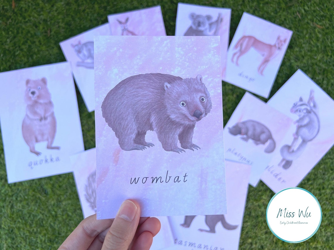 Australian Animals Flashcards, Montessori Cards, Australian Wildlife ...