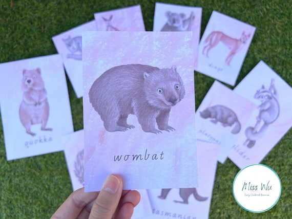 Australian Animals Flashcards Montessori Cards Australian - Etsy