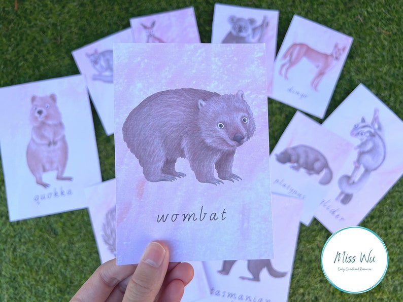 Australian Animals Flashcards, Montessori Cards, Australian Wildlife ...