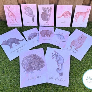 Australian Animals Flashcards, Montessori Cards, Australian Wildlife ...