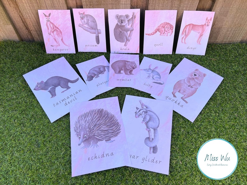 Australian Animals Flashcards, Montessori Cards, Australian Wildlife ...