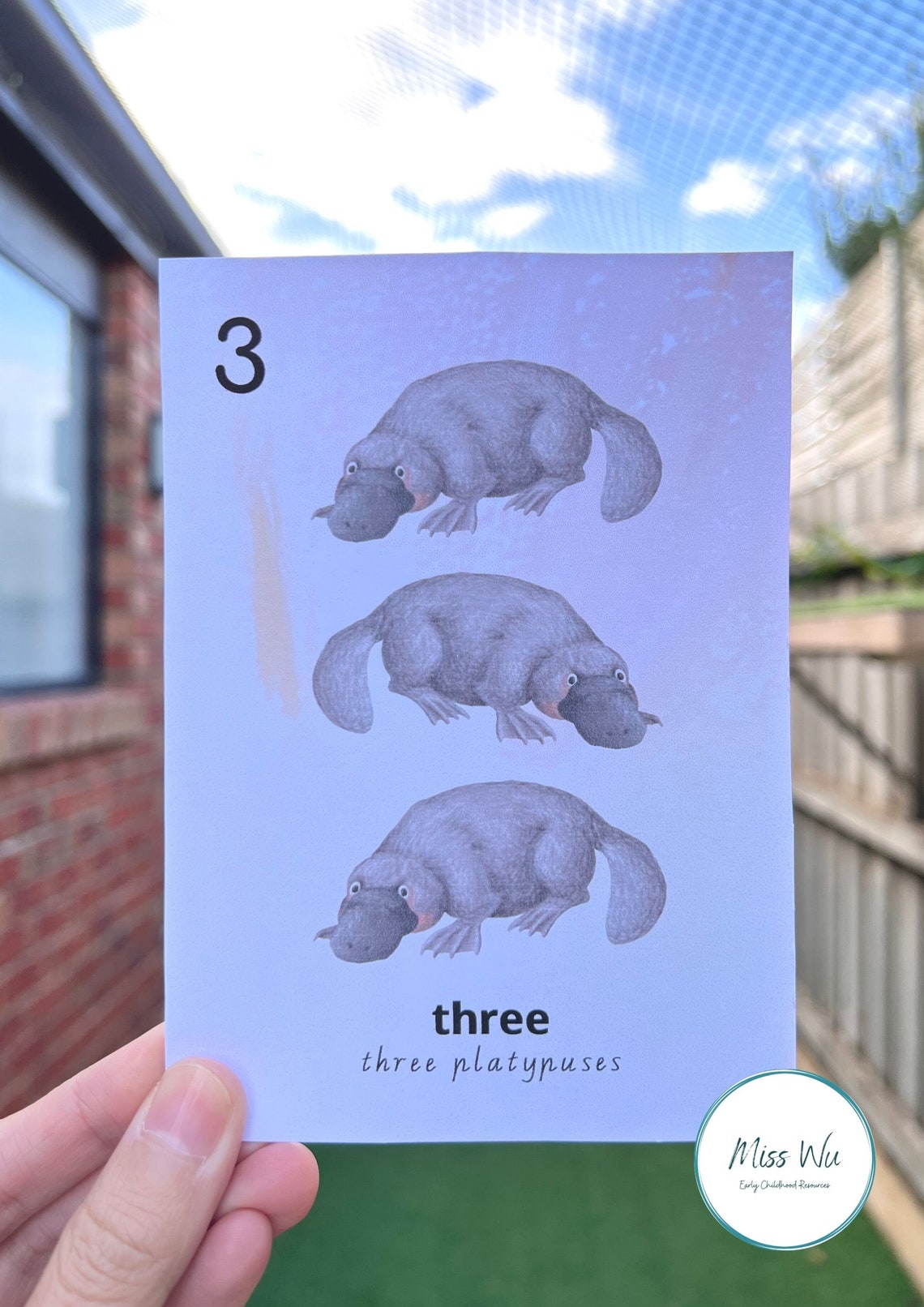 Australian Animal Number Flashcards, Reconciliation Week, Indigenous ...