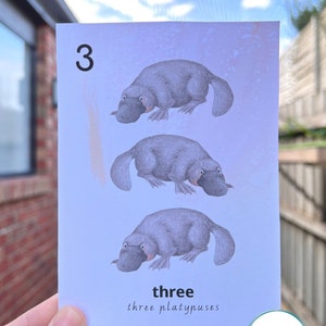 Australian Animal Number Flashcards, Reconciliation Week, Indigenous ...