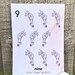 Australian Animal Number Flashcards, Reconciliation Week, Indigenous ...
