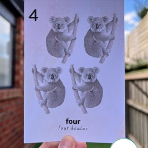 Australian Animal Number Flashcards, Reconciliation Week, Indigenous ...