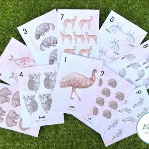 Australian Animal Number Flashcards, Reconciliation Week, Indigenous ...