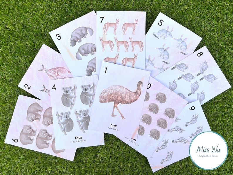 Australian Animal Number Flashcards, Reconciliation Week, Indigenous ...