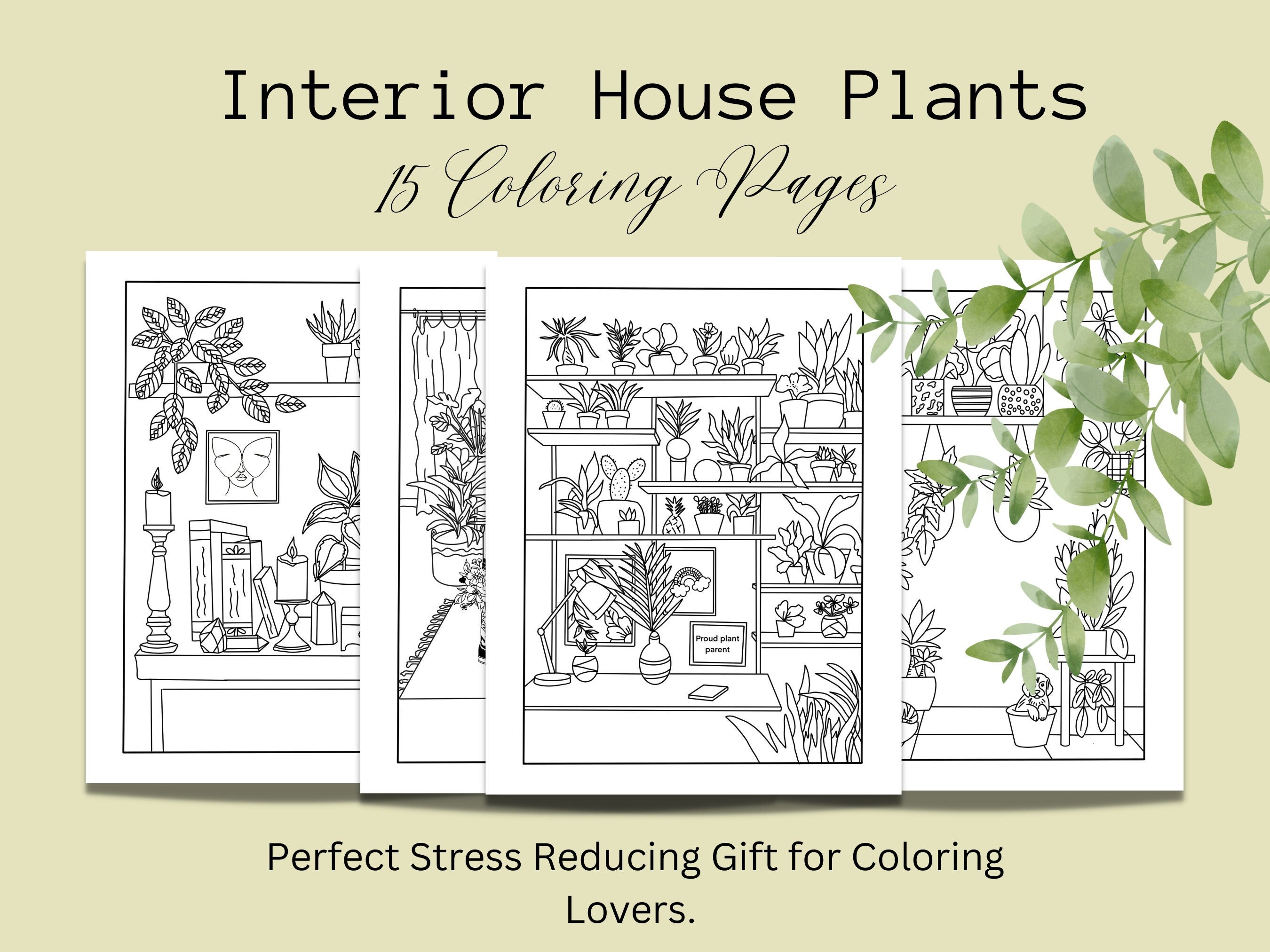 15 Boho Rooms With House Plants Coloring Pages, Coloring Pages ...