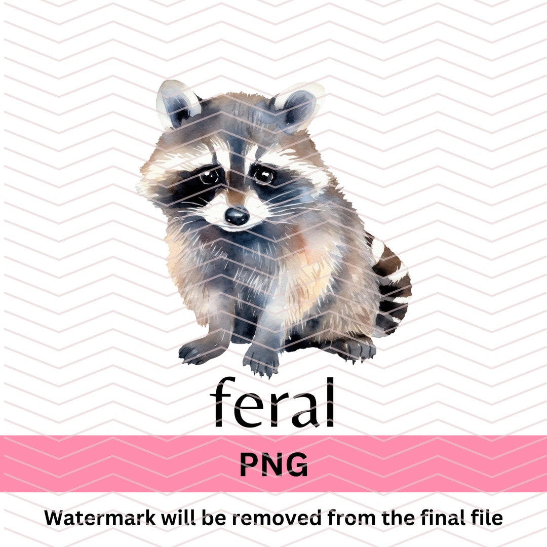 Feral Raccoon PNG, Feral Clipart , Watercolor Racoon, Instant Download ...