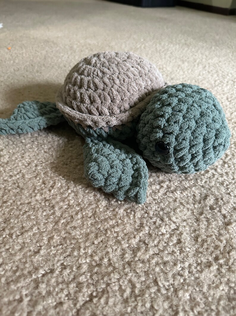 Timmy the Turtle Crochet Pattern - Etsy
