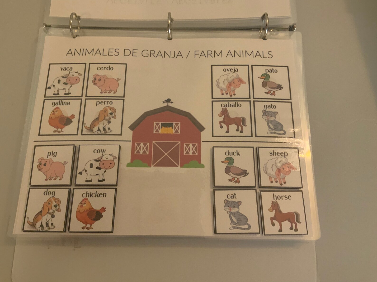 English SPANISH LEARNING BINDER for Kids Educational Adapted - Etsy