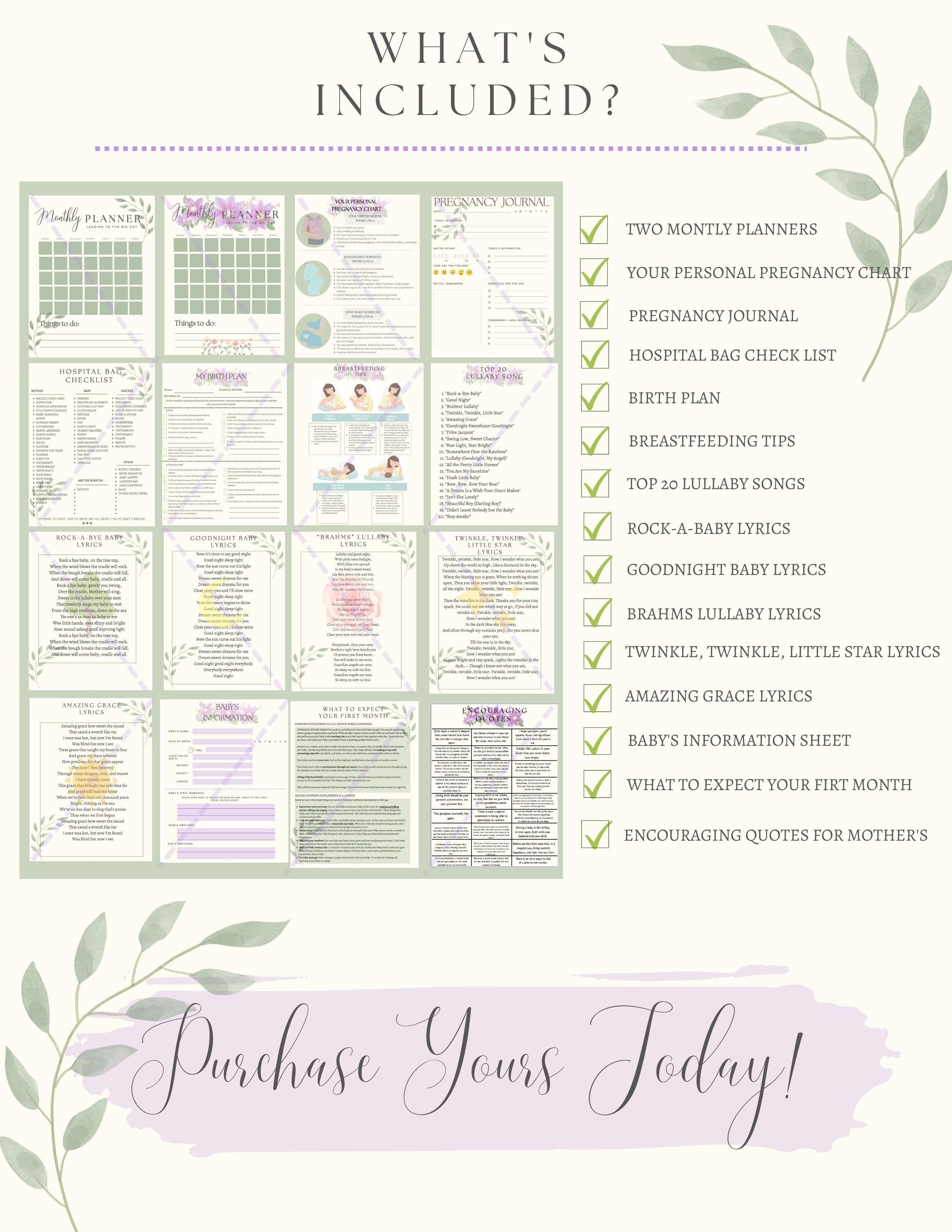 Birth Plan & Packing List | Planner, Pregnancy Chart, Breastfeeding ...