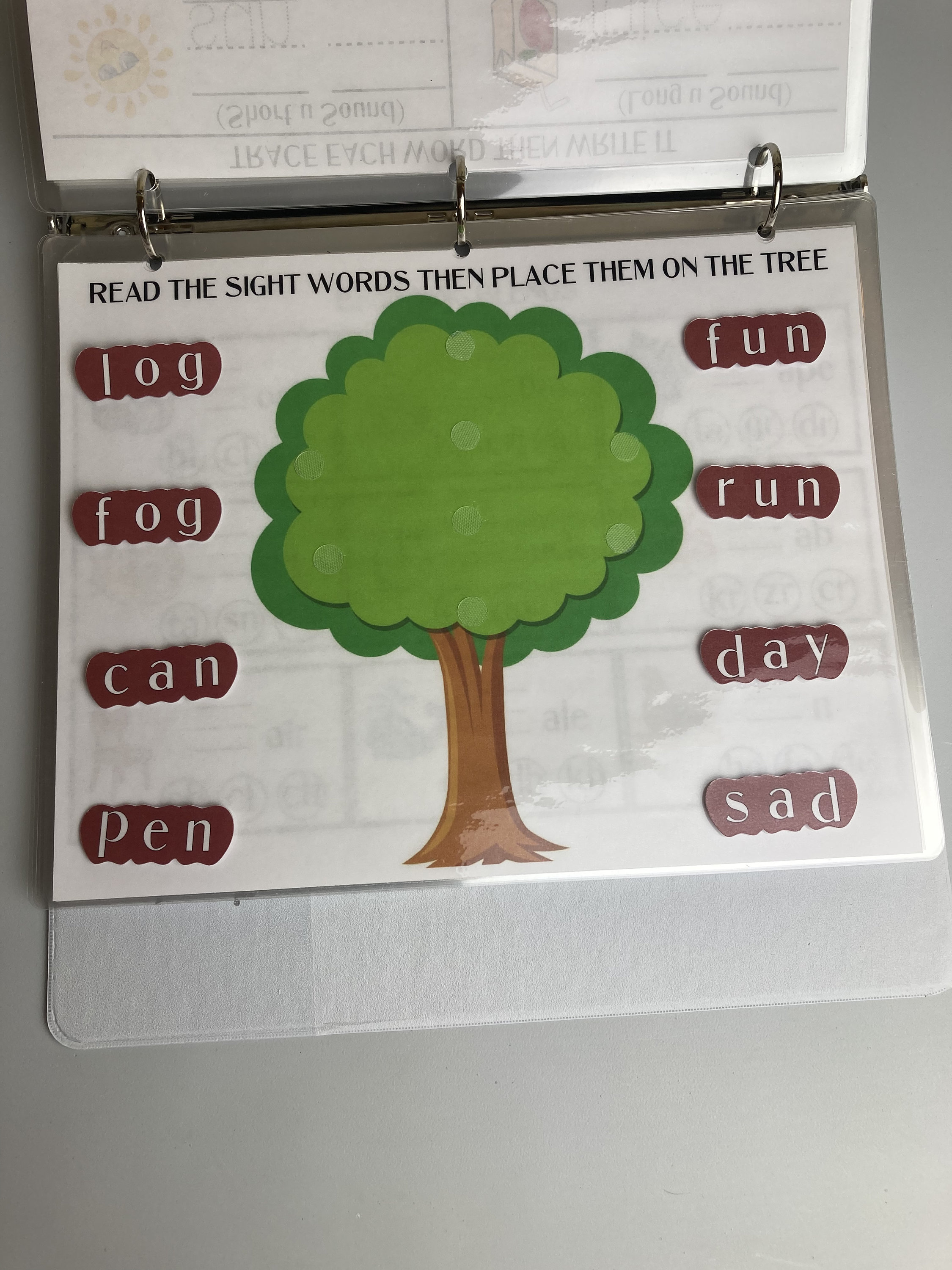 First Grade Binder First Grade Curriculum Busy Book - Etsy