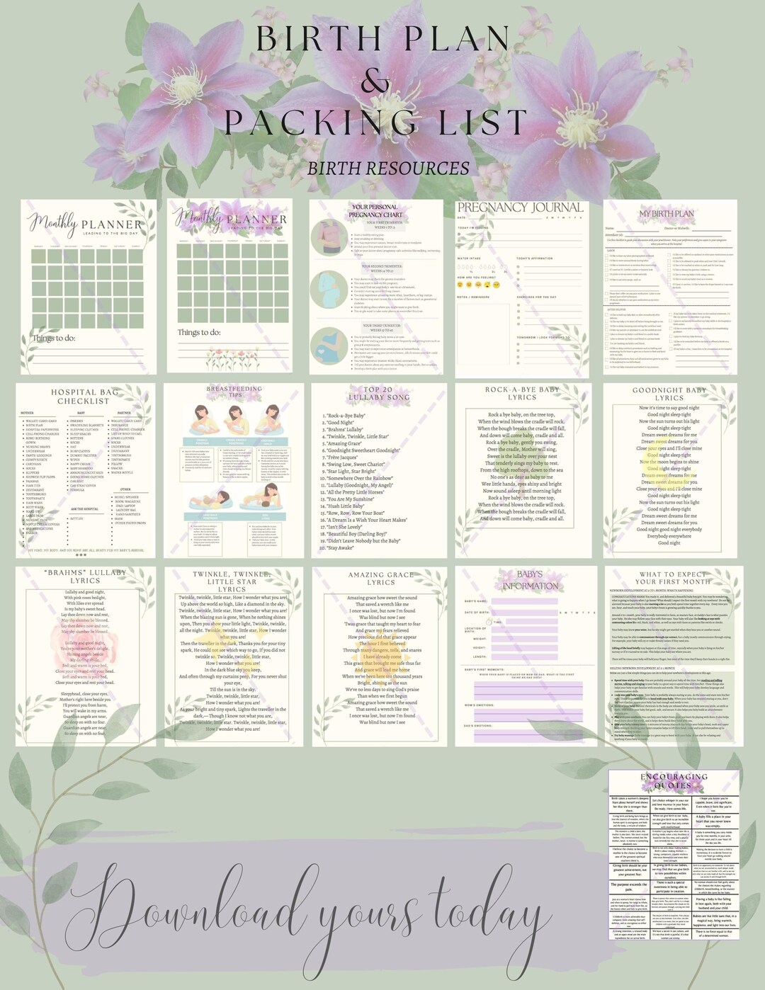 Birth Plan & Packing List | Planner, Pregnancy Chart, Breastfeeding ...