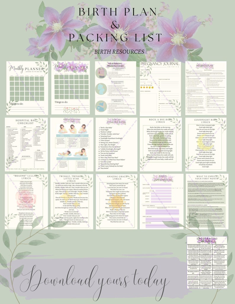 Birth Plan & Packing List | Planner, Pregnancy Chart, Breastfeeding ...