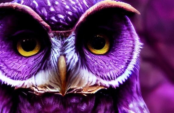 Purple Owls