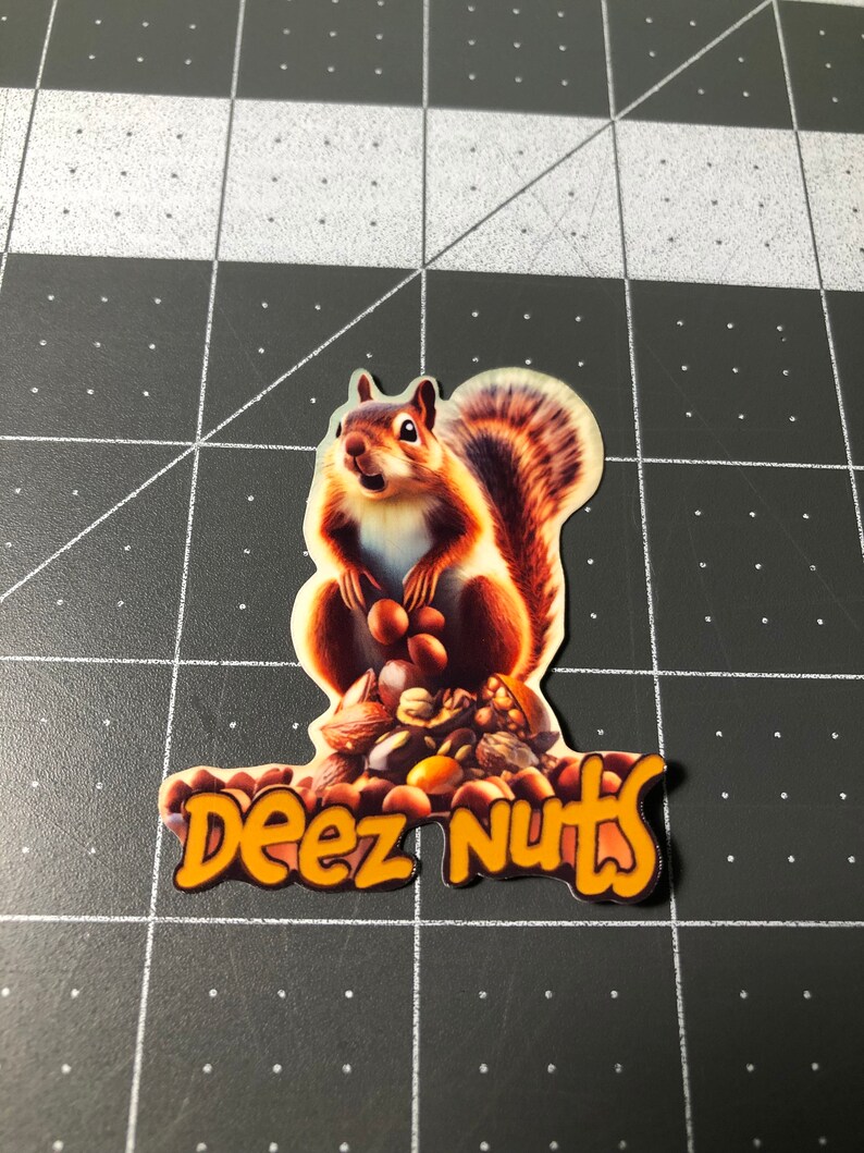 Deez Nuts Squirrel on a Pile of Tree Nuts Vinyl Sticker - Etsy