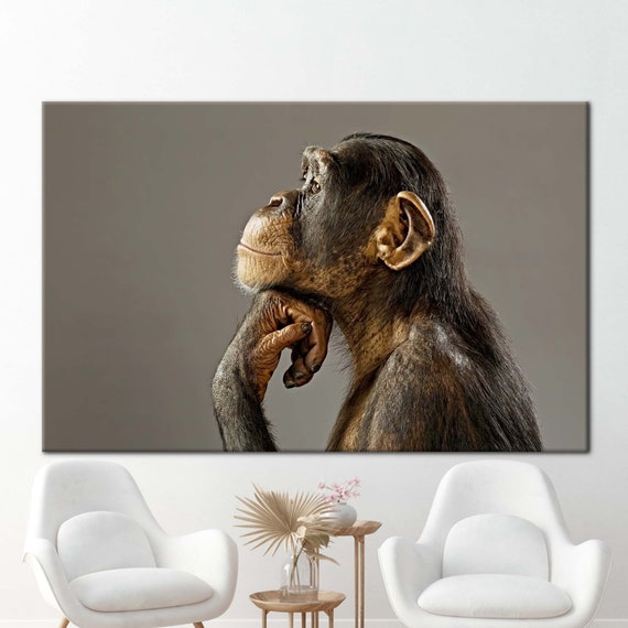 Thinking Chimp