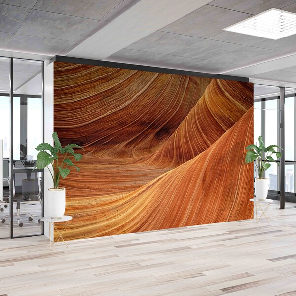 Peel and Stick Wall Paper - Etsy