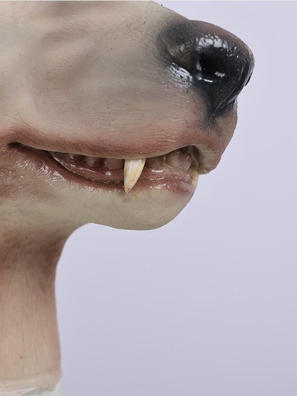 Realistic Silicone Puppy Mask: Handmade Cosplay Dog Prosthetic - Etsy