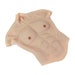 Premium Silicone Prosthetics Muscle Suit With Arms for Cosplay Costumes ...