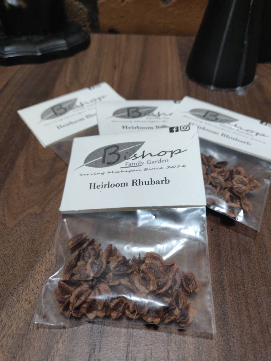 Heirloom Rhubarb Seeds, Rhubarb Seeds, Rhubarb Seed Pods - Etsy
