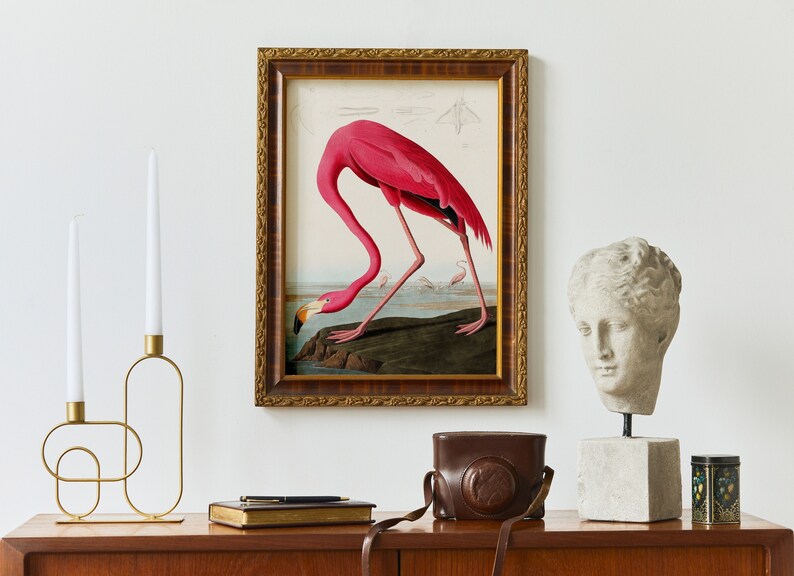 Vintage Pink Flamingo Print, Digital Download, Vintage Bird Print,retro ...